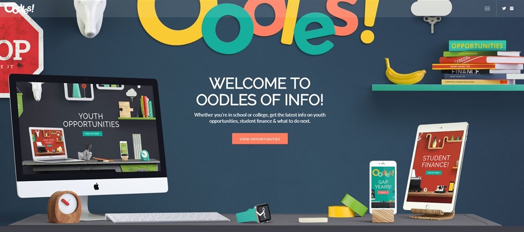 Oodles of Info! Boomerang Education Launches Brand New Youth Site